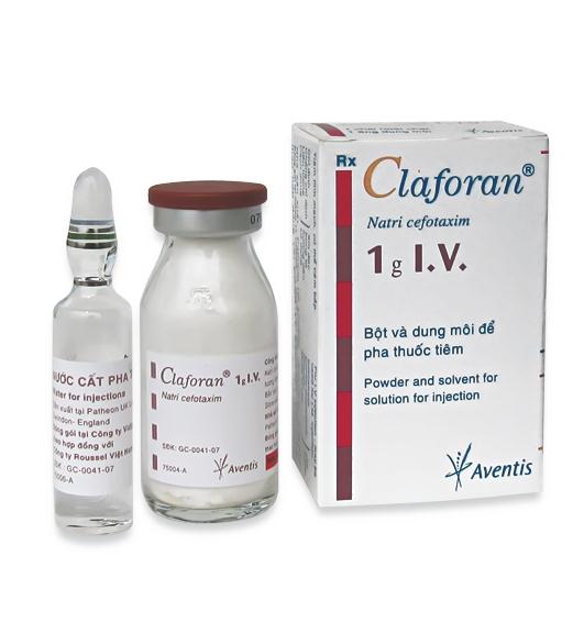 Tìm hiểu về thuốc điều trị nhiễm khuẩn Claforan