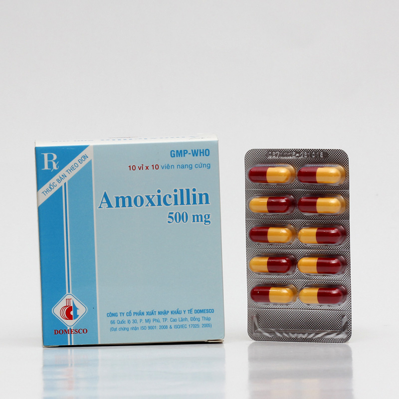 Amoxicillin là thuốc gì? Công dụng về liều dùng của thuốc Amoxicillin ...
