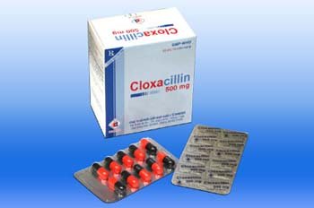 Cloxacillin - Thuốc điều trị nhiễm trùng do vi khuẩn