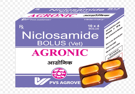 Niclosamid là thuốc gì? Liều dùng & Cách dùng thuốc an toàn